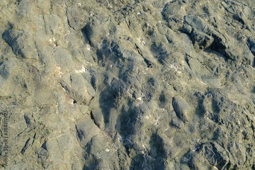 Background from a stone of igneous rock. Wallpaper made of textures of ...