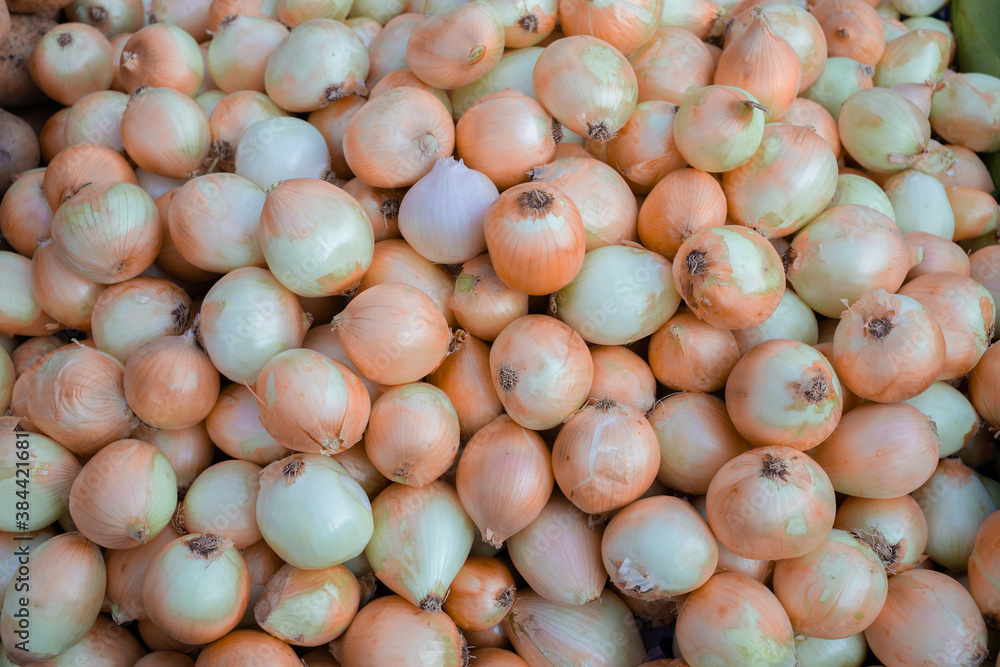 Gold onion background. Vegetarian organic local food. Harvesting. Stock ...