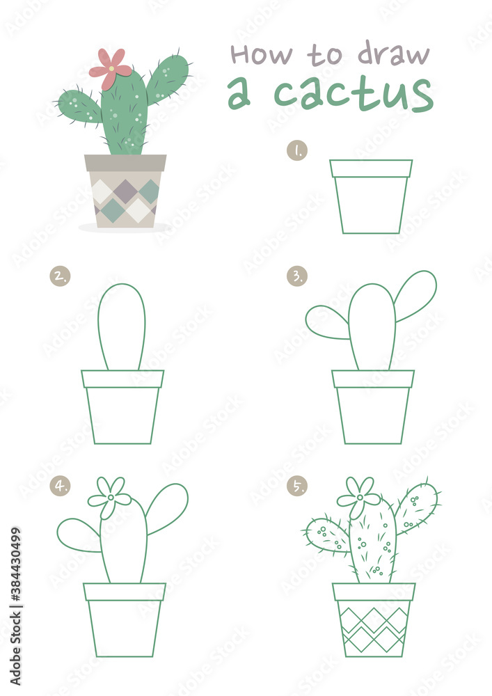 How to Draw a Cactus Plant Stock Vector | Adobe Stock