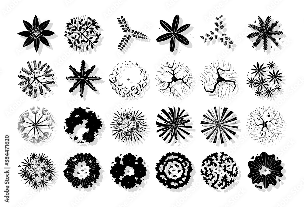 vector of top view tree set, hand drawn sketch isolated on white ...