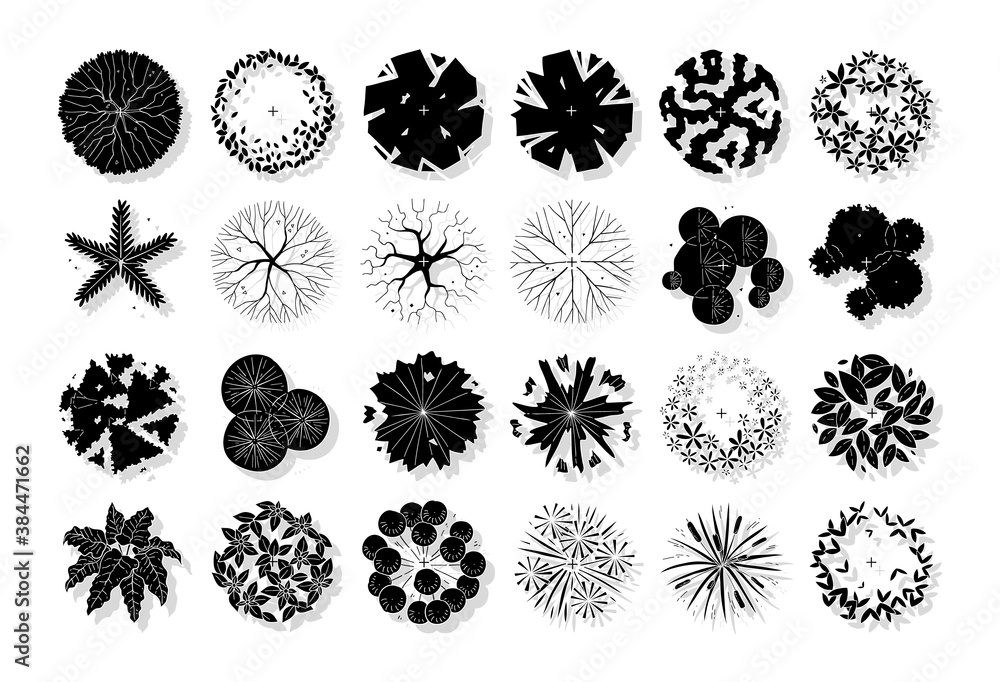 vector of top view tree set, hand drawn sketch isolated on white ...