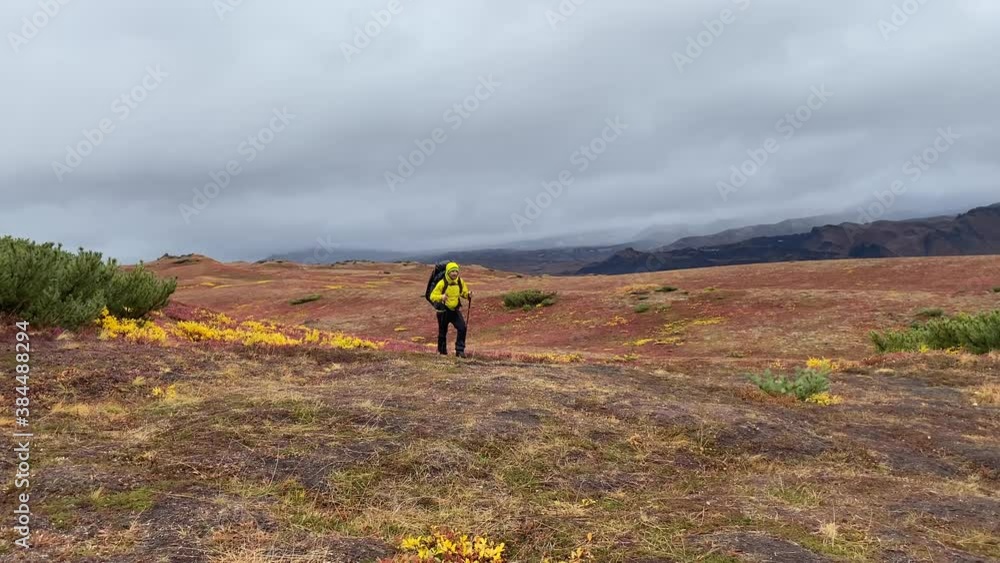 Single hiker traveler with a backpack and trekking poles walks along ...
