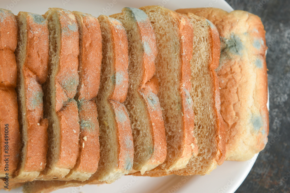 not fresh mouldy slice of stale bread. Mould on sliced bread with ...