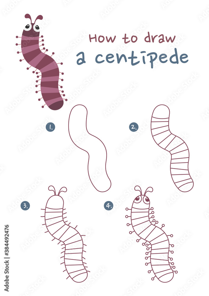 Vetor de How to Draw a Centipede do Stock | Adobe Stock