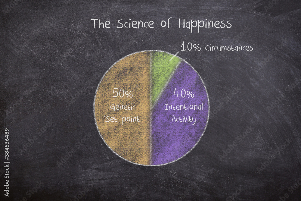 The science of happiness pie chart drawn with chalk on blackboard, psychology infographic ...