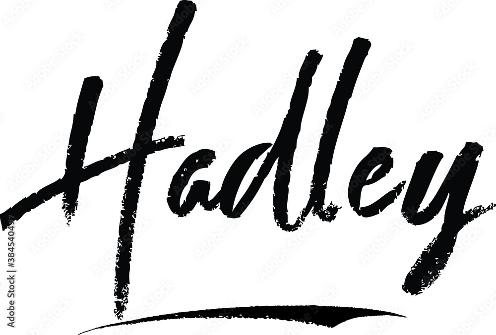 Hadley-Female name Modern Brush Calligraphy on White Background Stock ...