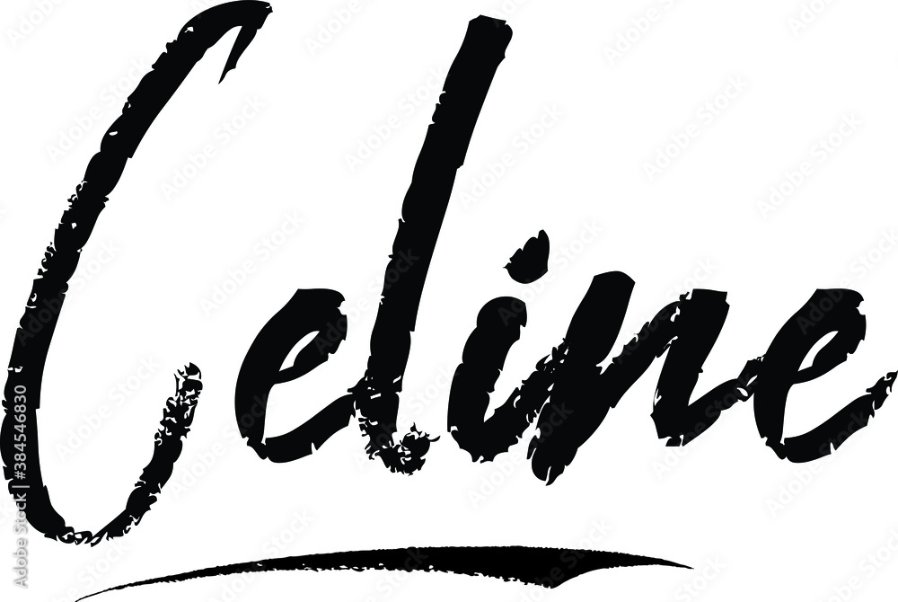 Celine Female name Modern Brush Calligraphy on White Background Stock ...