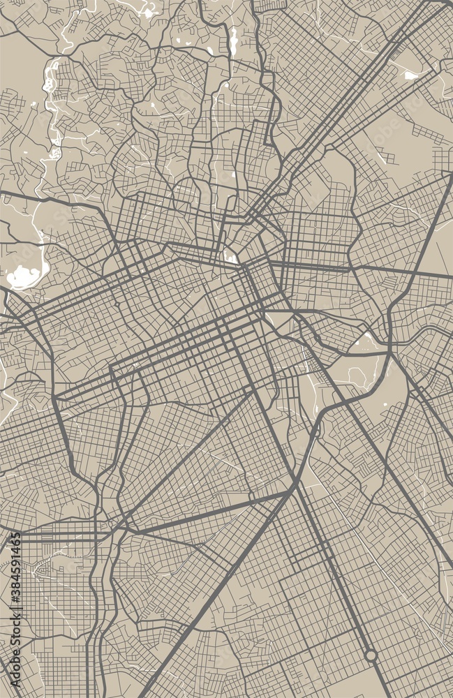 Detailed map of Curitiba city, linear print map. Cityscape panorama ...