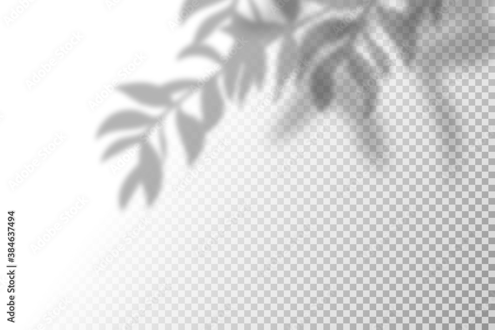 Vector illustration of realistic shadow overlay effect. Blurred ...
