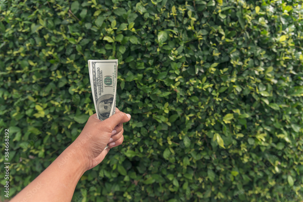 Hand holding loan money dollar bank note give financial payment. Man ...