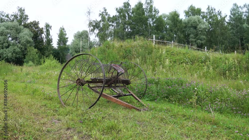 Green field, meadow, forest edge. An old, abandoned rusty chariot, a ...