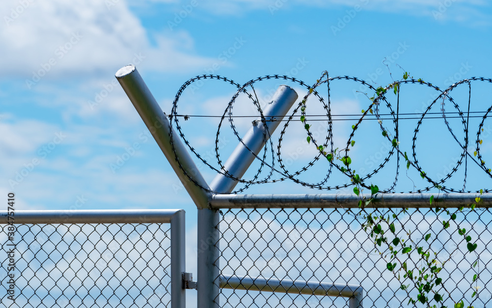 Prison Wall Barbed Wire