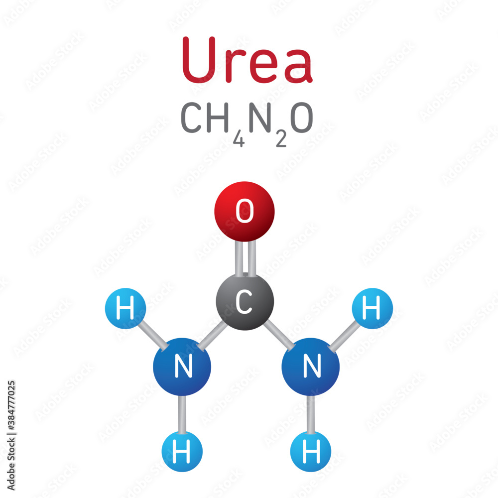 Urea Molecule