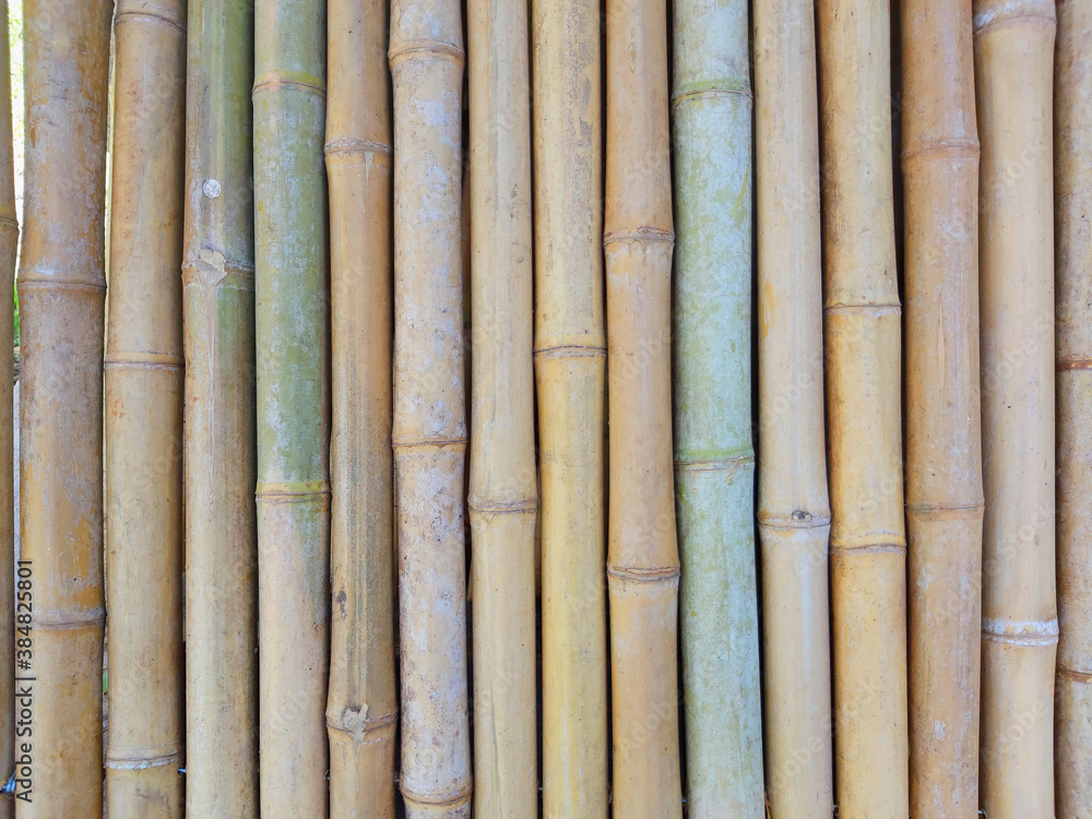 fondo de madera de junco, ramas alineadas verticalmente, con luz ...