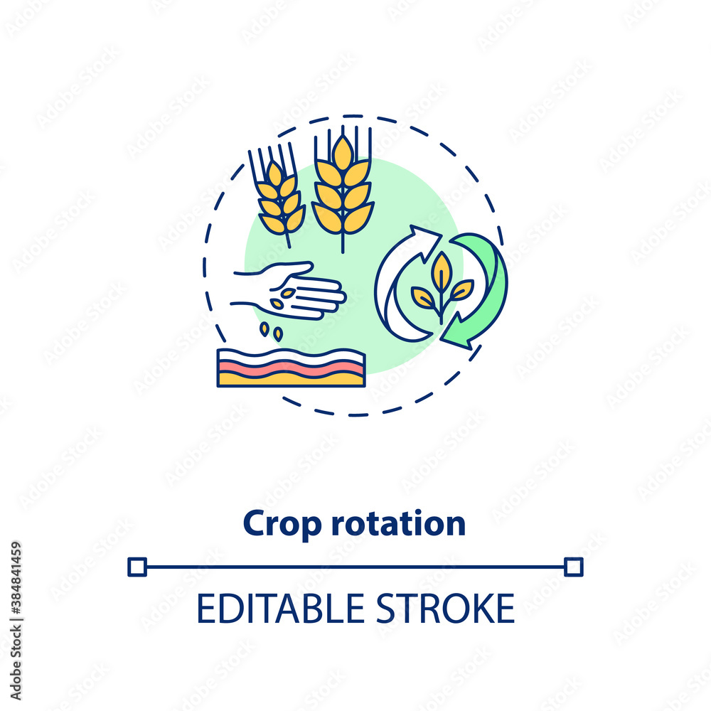 Crop rotation concept icon. Organic farming principles. Growing ...