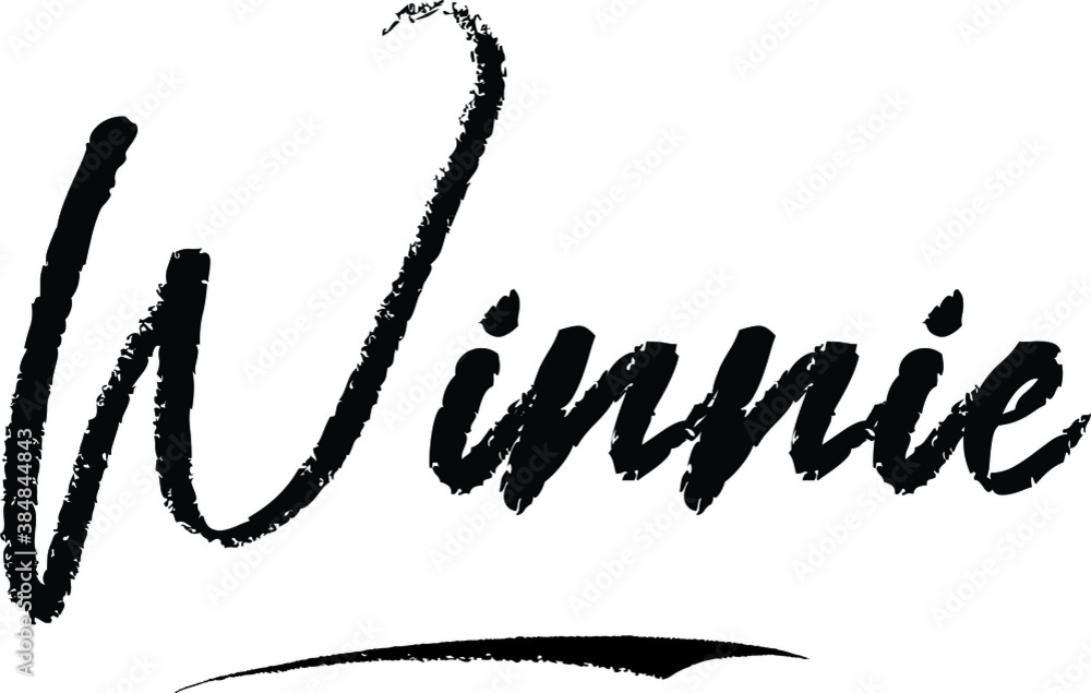 Winnie-Female name Modern Brush Calligraphy on White Background Stock ...