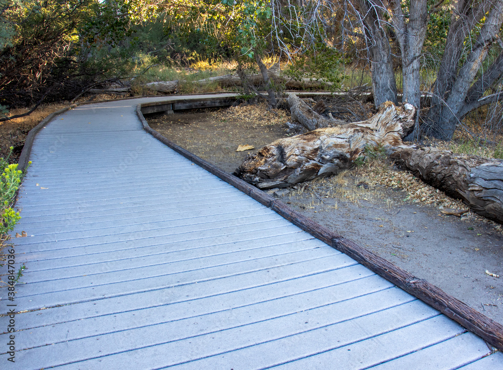 Plank pathway turning a corner on a hike in a nature preserve Stock ...