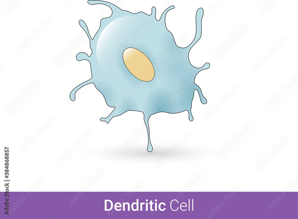 Dendritic cell vector illustration. White blood cell in blue color and ...