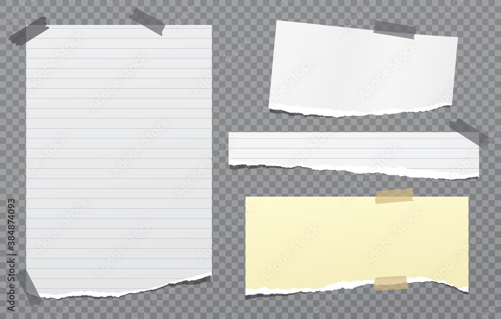 Torn Note Paper Vector