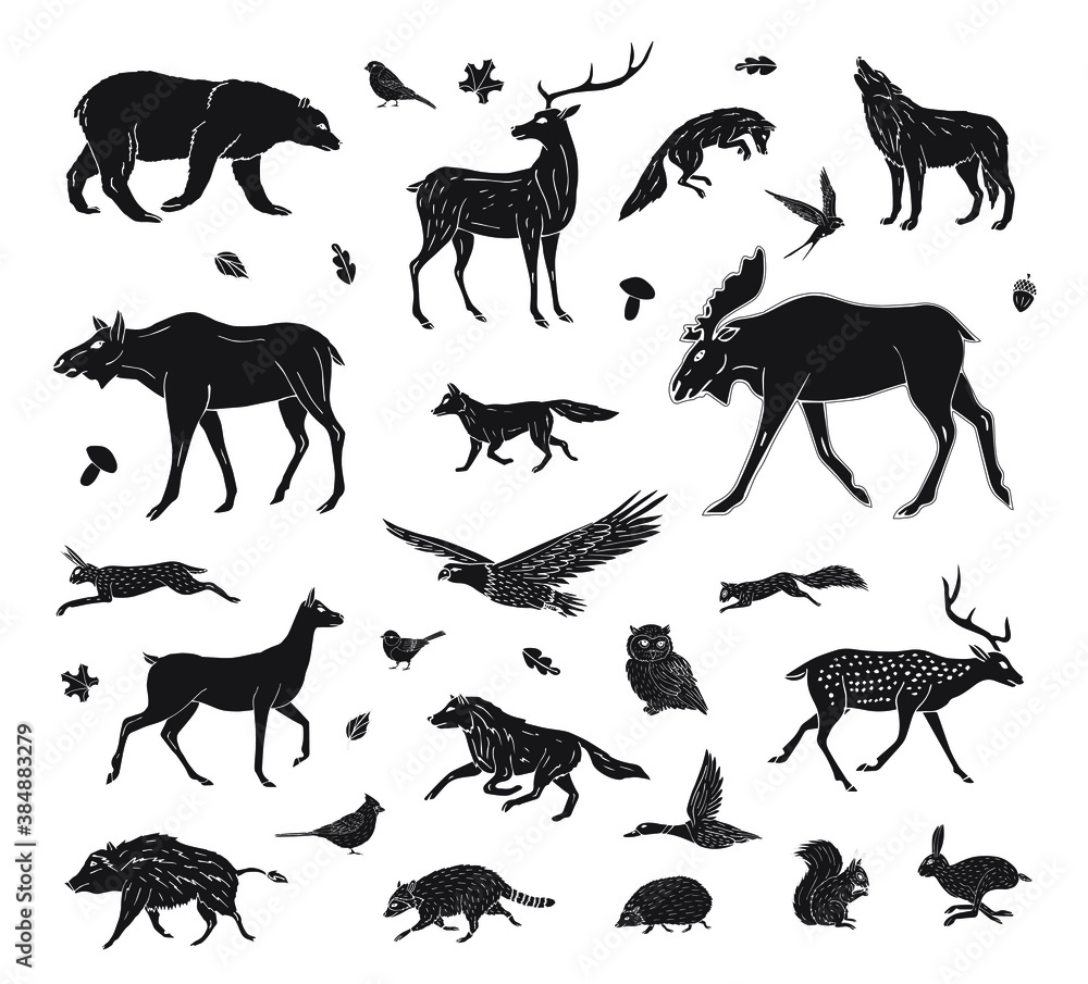 Vector set bundle of black hand drawn doodle sketch wild forest animals ...