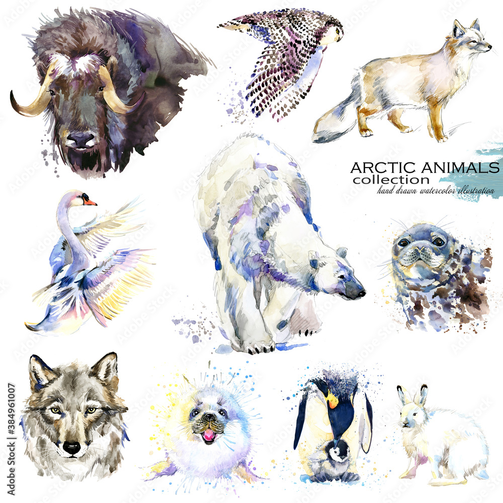 Polar animals set. Arctic fauna. wild animal watercolor illustration ...