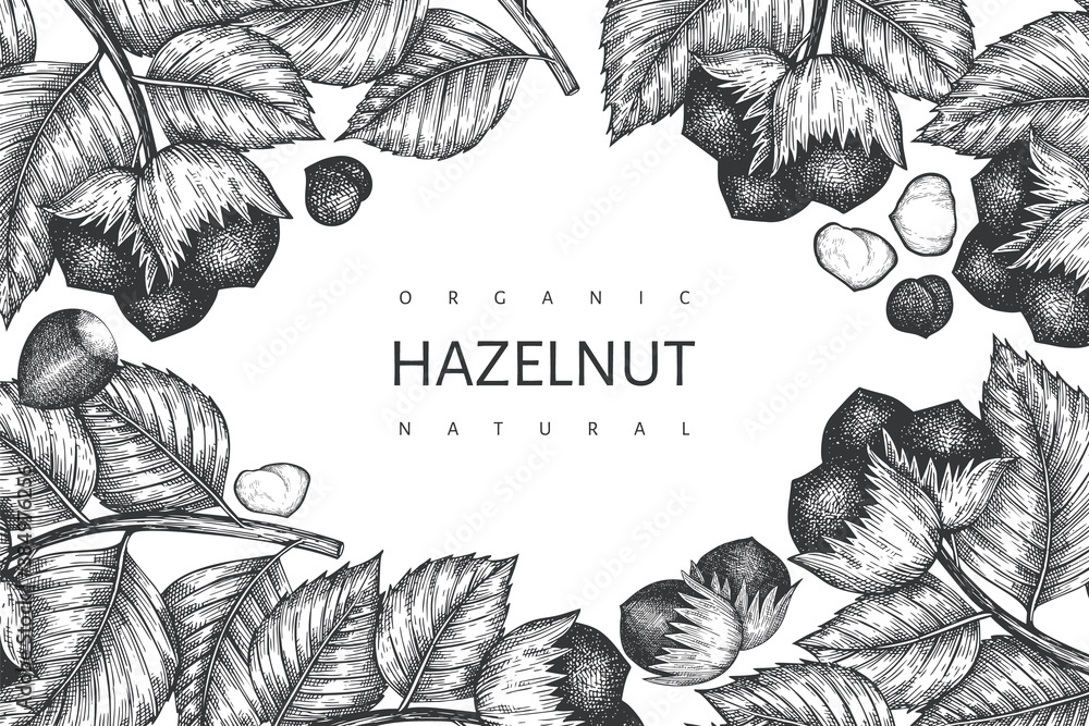 Hand drawn sketch hazelnut design template. Organic food vector ...