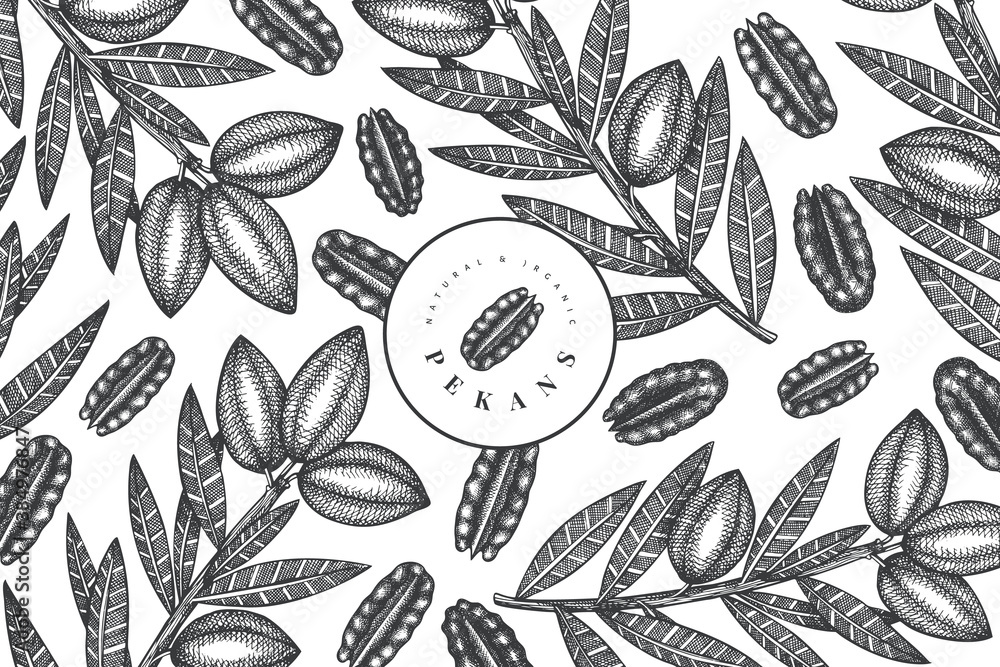 Vetor de Hand drawn pecan branch and kernels design template. Organic ...