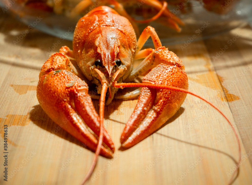 Crayfish Pincers