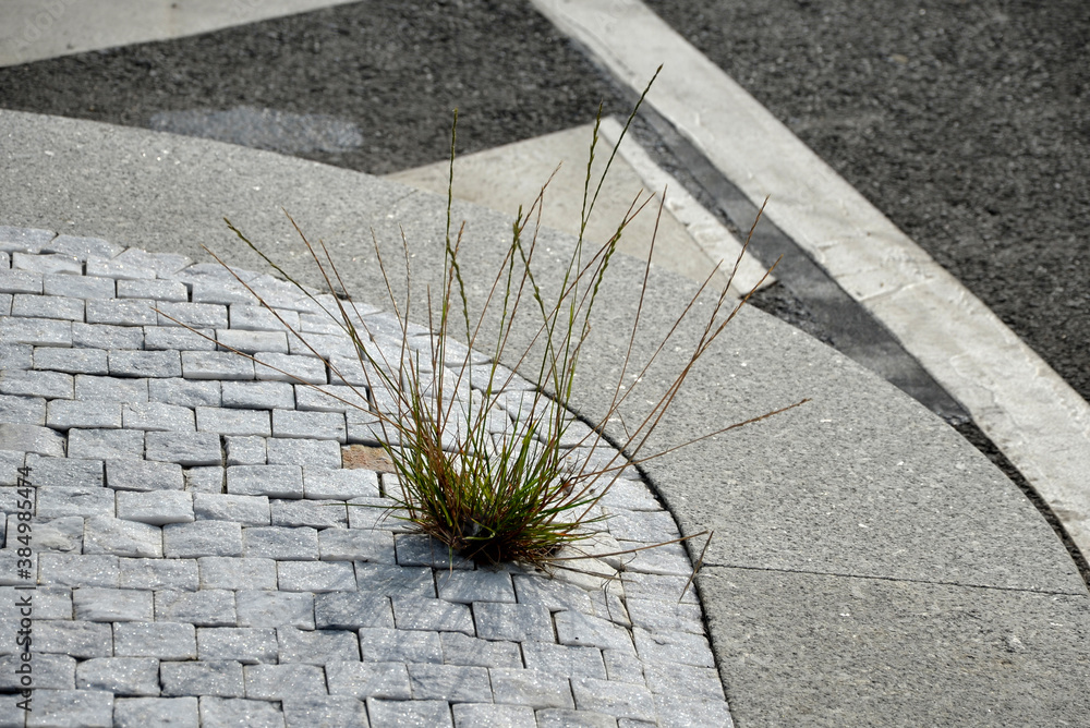 on a traffic island with a traffic sign between the roads in a new ...