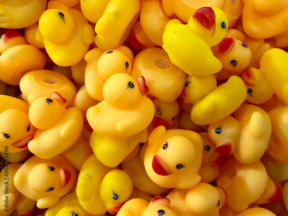 yellow rubber duck Stock Photo | Adobe Stock