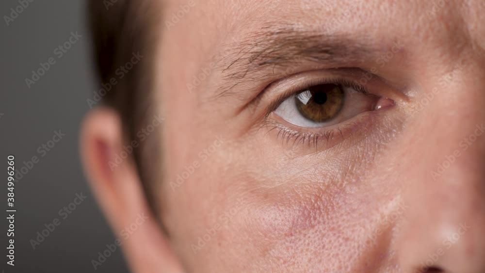Man's Brown Eyes Looking Into the Camera. Male Eye No Blinking. Focused ...