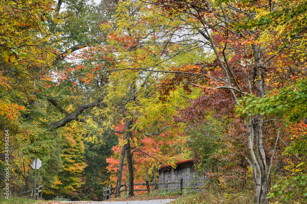 Fall foliage in Ohio during the month of October. Stock Photo | Adobe Stock