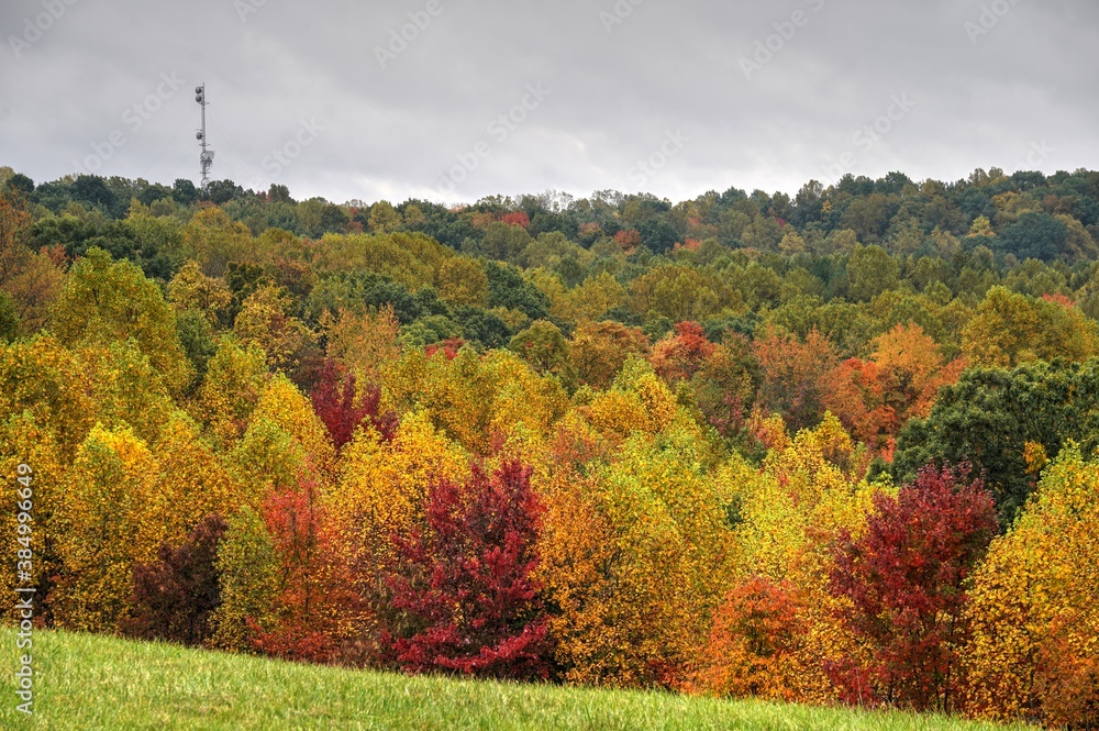 Fall foliage in Ohio during the month of October. foto de Stock | Adobe ...
