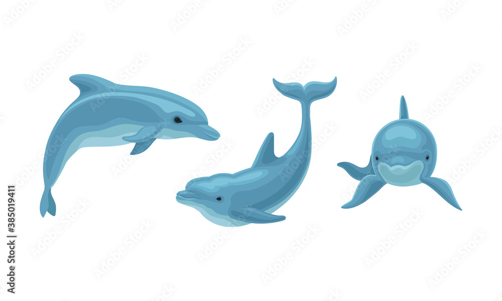 Blue Dolphin as Aquatic Mammal with Streamlined Body and Flippers ...