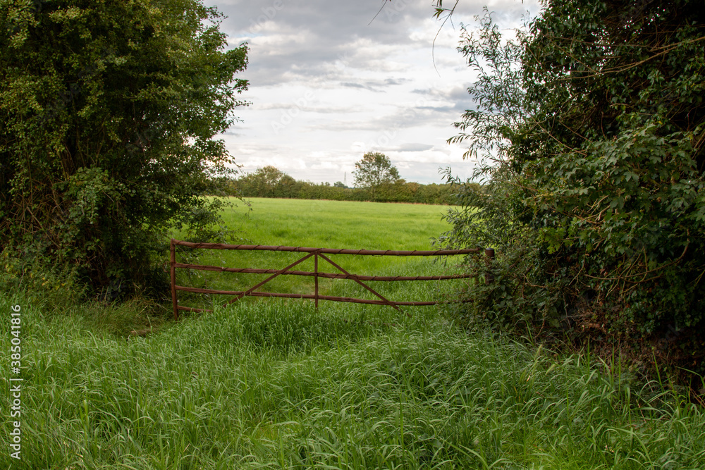 Rusty gate with barbed wire wrapped round bars on gate, which is ...