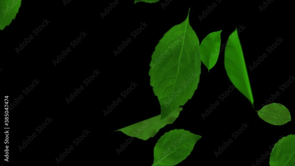 Moving Leaves Fresh Green Particle Flow falling Animation. Nature ...