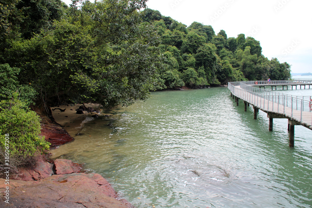 littoral (chek jawa wetland) at ubin island in singapore Stock Photo ...