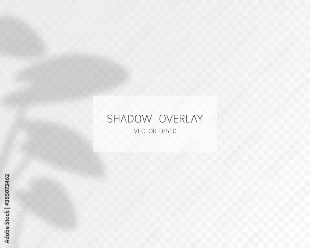 Shadow overlay effect. Natural shadows isolated on transparent ...