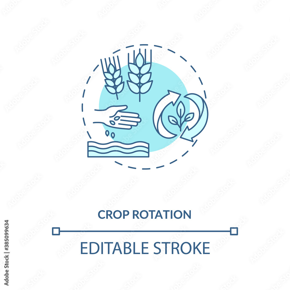 Crop rotation concept icon. Organic farming principles. Growing ...