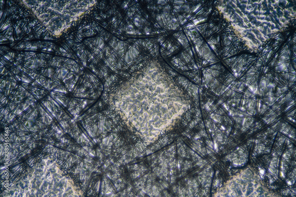 micrograph of gauze mask cloth inlayer texture Stock Photo | Adobe Stock