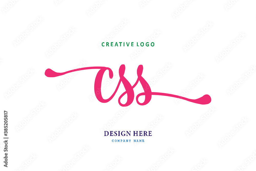 Simple Css Typeface Logo Is Easy To Understand Simple And Authoritative Stock Vector Adobe Stock