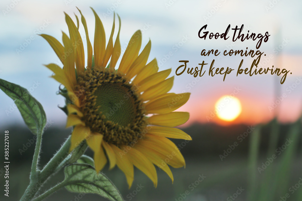 Inspirational quote - Good things are coming. Just keep believing. Hope ...