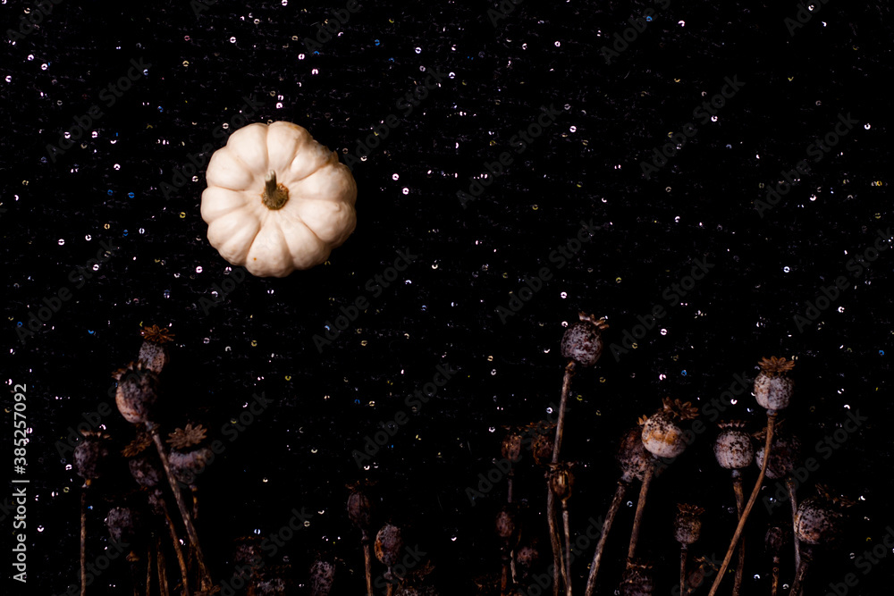 Rotten poppy heads like dead people or zombies looking at the full moon ...