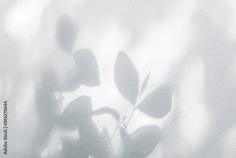 Light shadow of Leaf and tree branch abstract blurred background ...