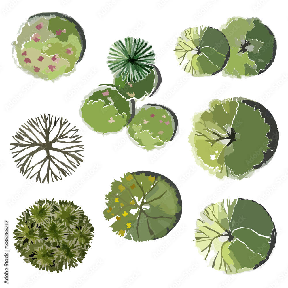 Vector Collection of abstract watercolor green tree top view isolated ...