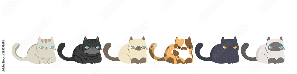 Set of different cats breeds in the same poses, Isolated on white ...