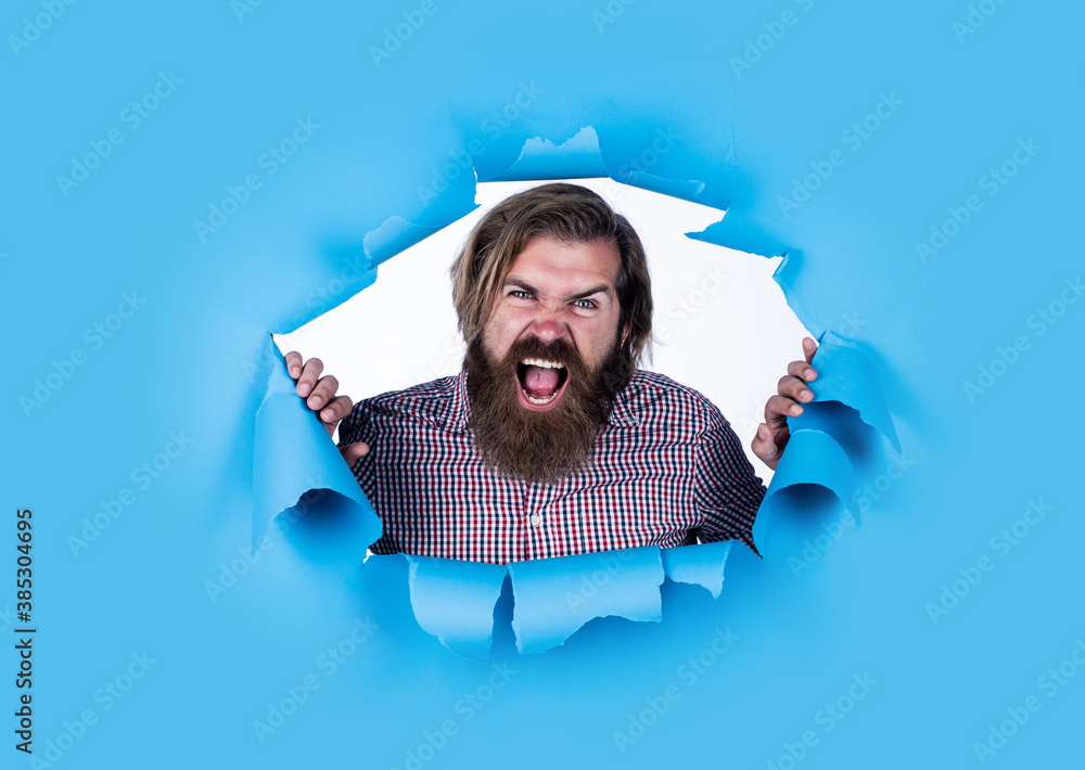 brutal bearded man shouting. angry man torn blue background. male ...