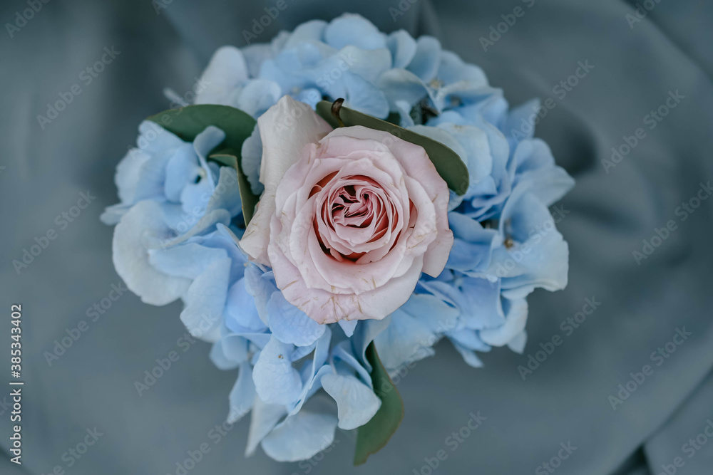 Beautiful close-up picture of soft pastel pink and blue roses on grey ...