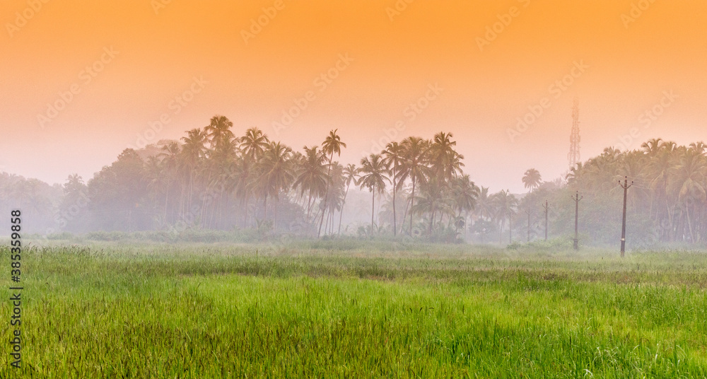 Indian Flag Field View Stock Photo | Adobe Stock