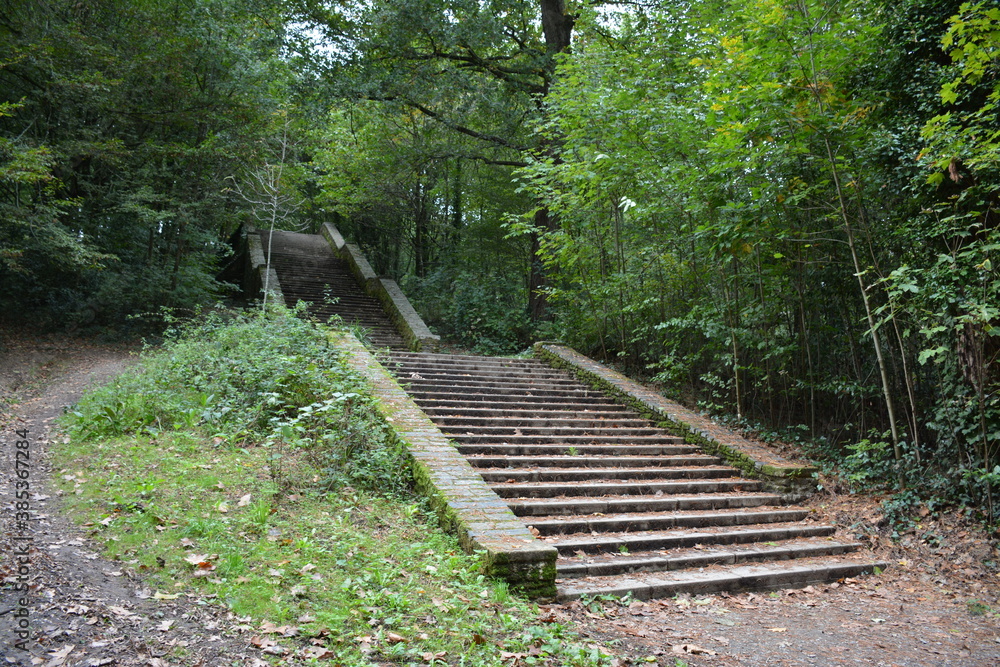 Nantes - Vallée du Cens - Escalier en pierre Stock Photo | Adobe Stock